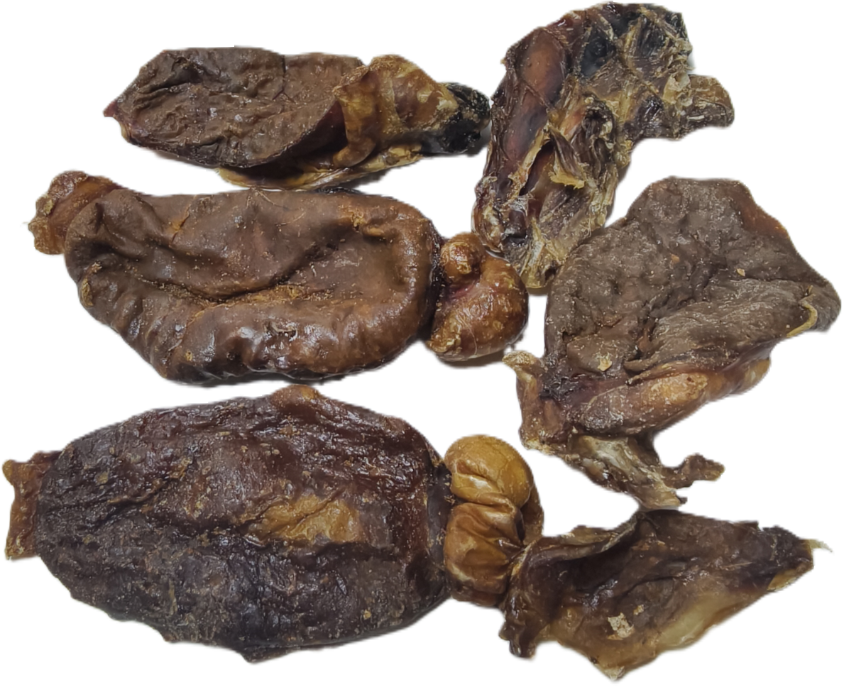 Lamb Testicles Testes – DriedDogTreats-Trade