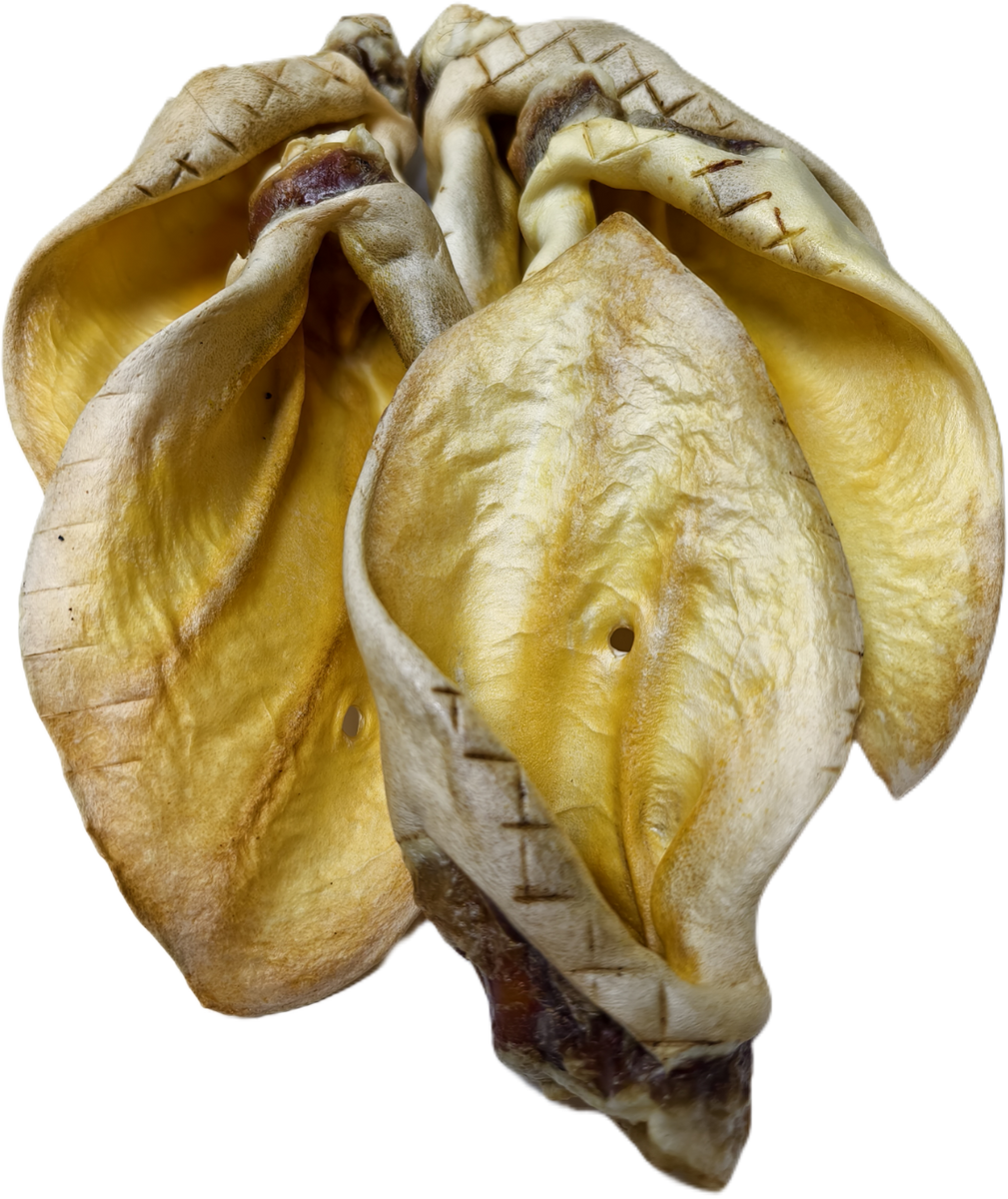 Beef Ears HONEY – DriedDogTreats-Trade