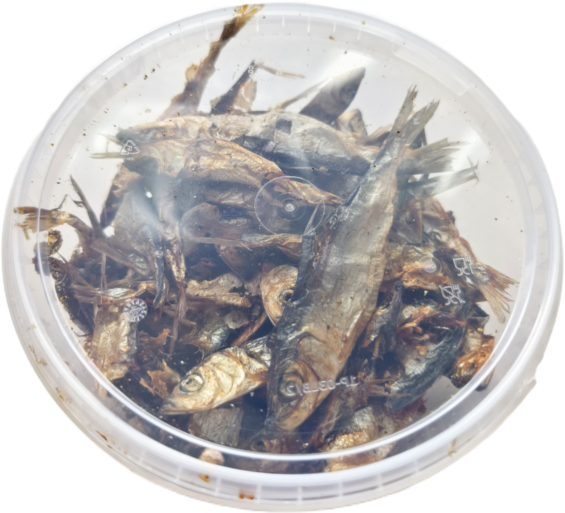 Sprats Fish 500g in plastic container – DriedDogTreats-Trade