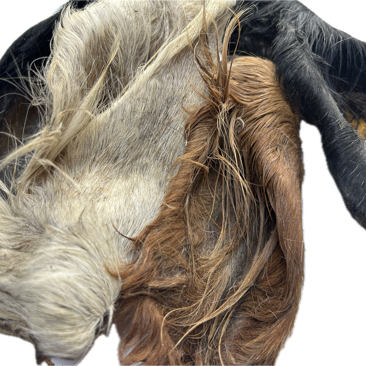 Beef Ears with Fur Hair – DriedDogTreats-Trade