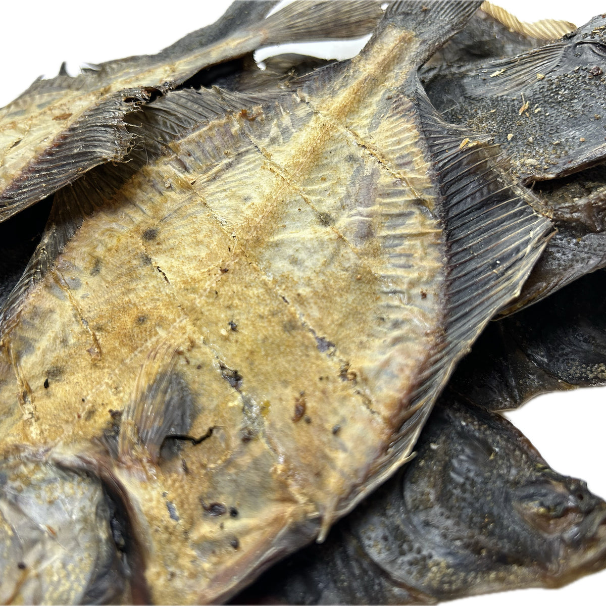 FLOUNDER Fish – DriedDogTreats-Trade