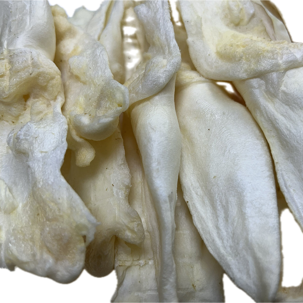 White Rabbit Ears – DriedDogTreats-Trade