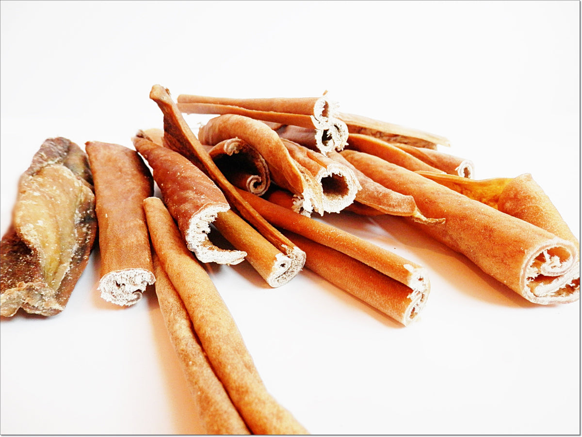 BUFFALO BISON skin hide 15cm – DriedDogTreats-Trade