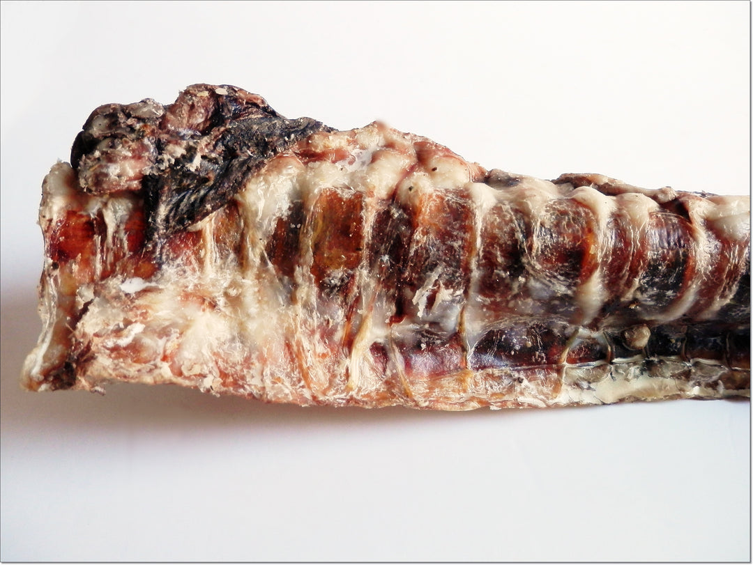 Beef Trachea Pipe 40cm – DriedDogTreats-Trade