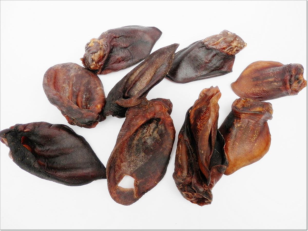 WILD BOAR ears – DriedDogTreats-Trade